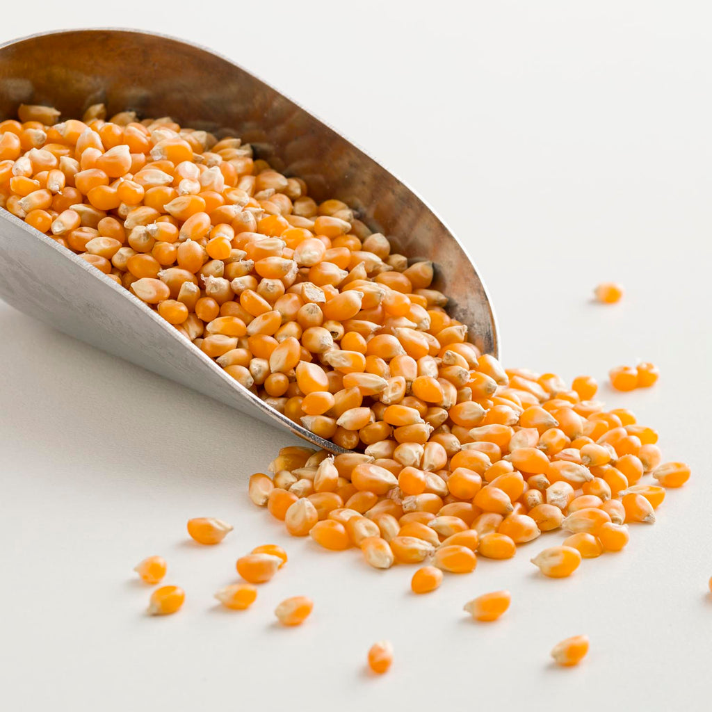 Popcorn Kernel Popping